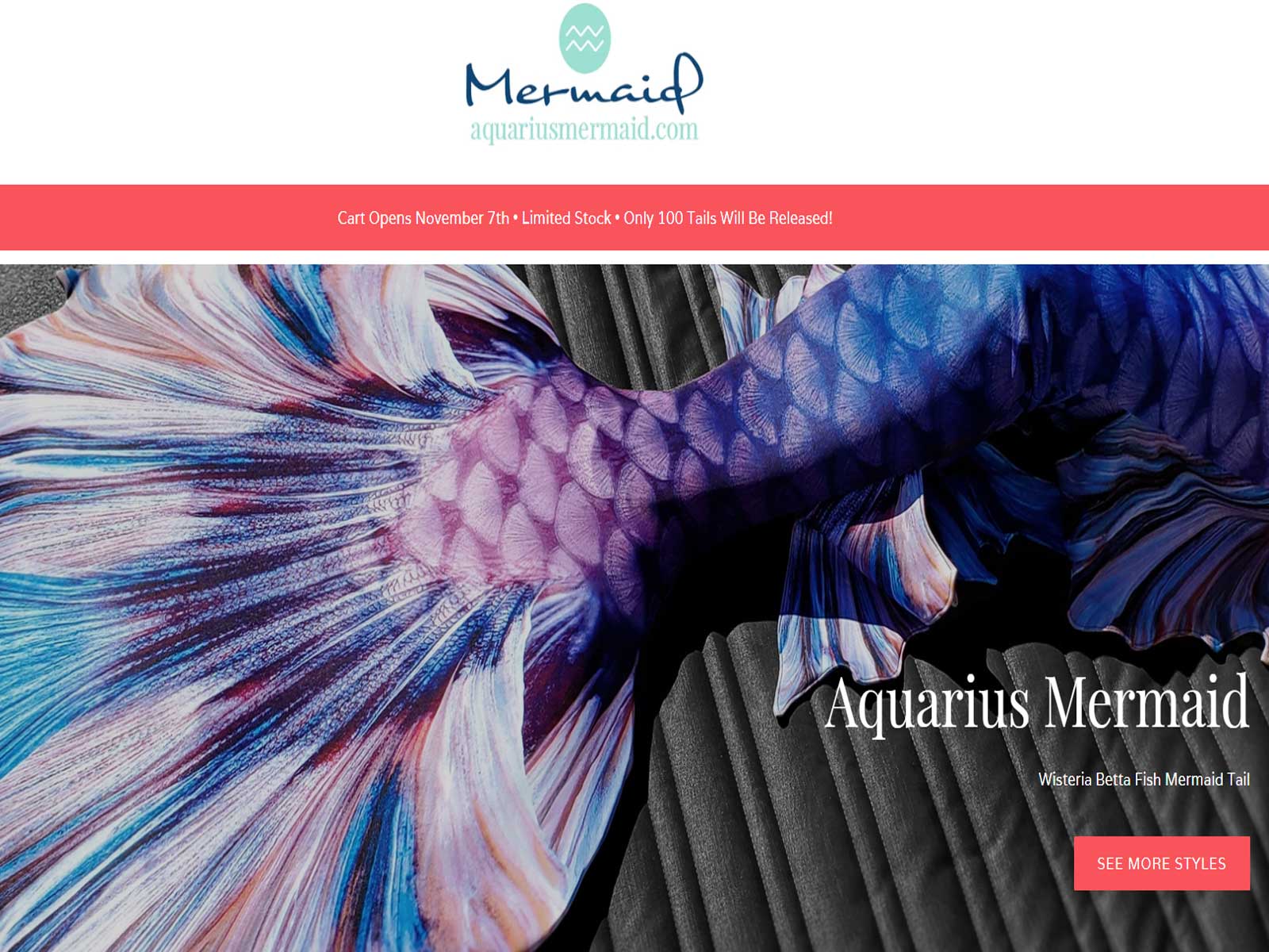 Swimtails macht weiter - unter dem neuem Namen Aquarius Mermaid